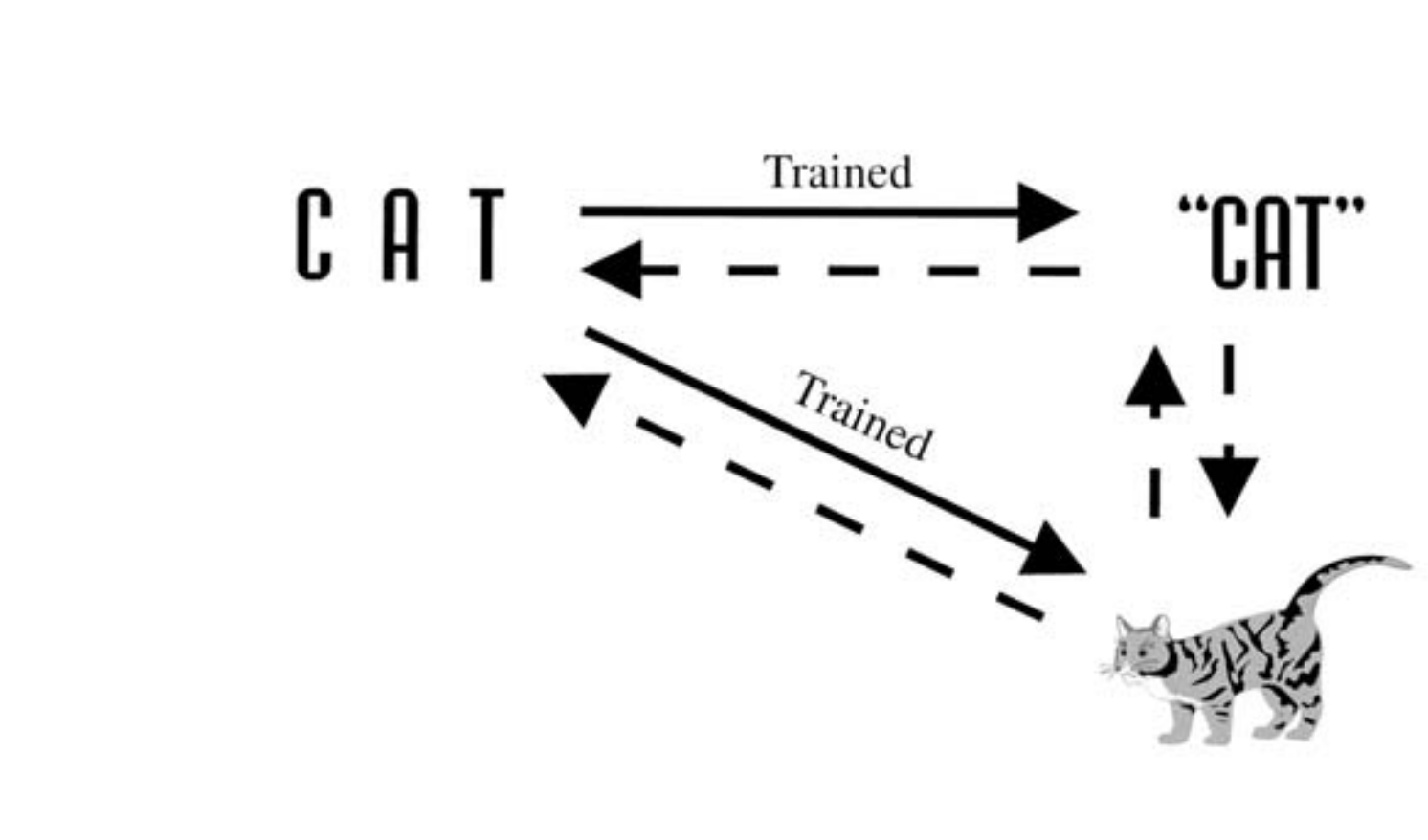 Introduction to Relational Frame Theory – psihobubu